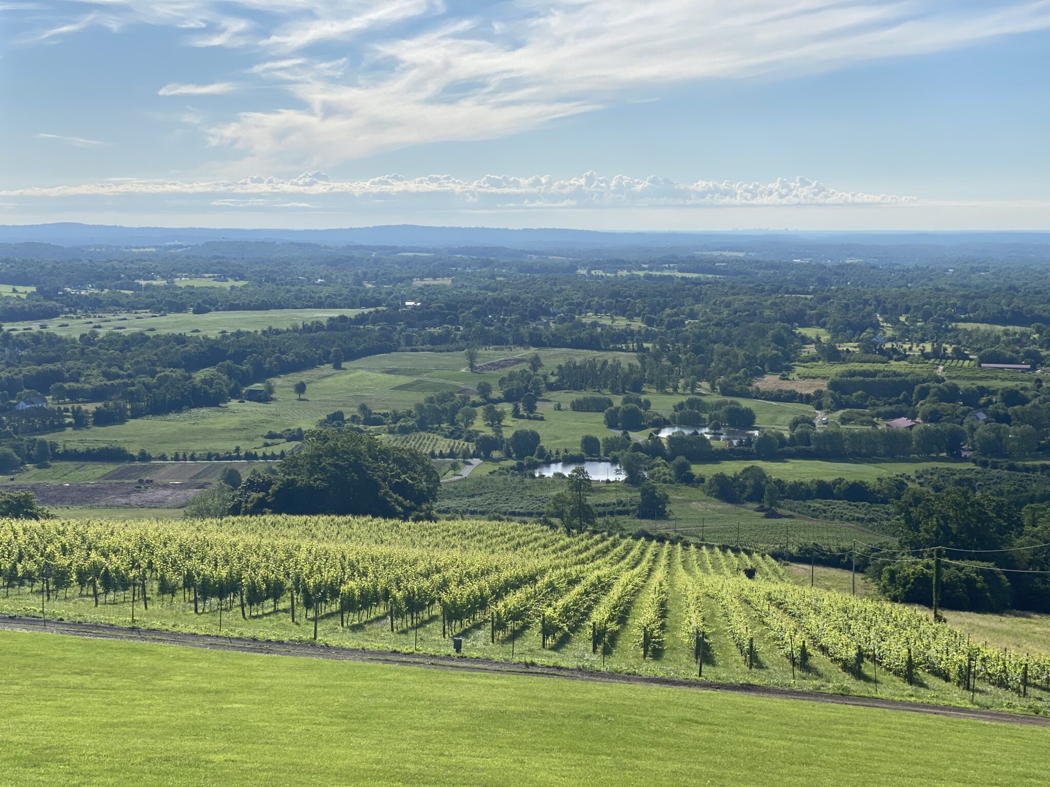 Nomini Bay Oyster Fest | Every First Weekend | Dirt Farm